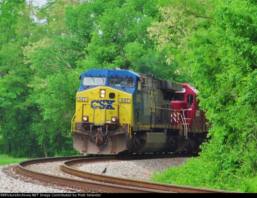 CSX 647